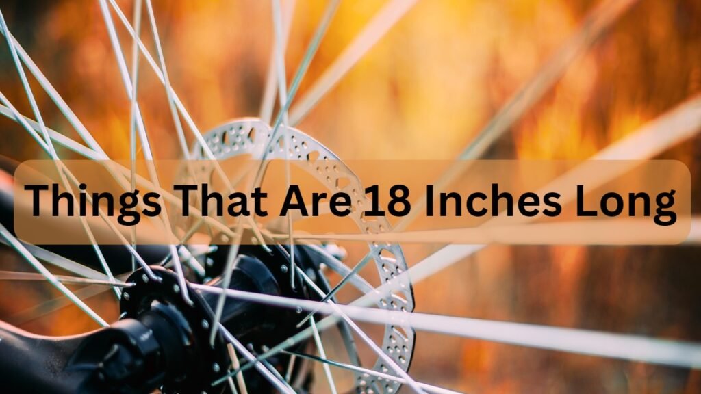 10 Common Things That Are 18 Inches Long - Measuring Troop