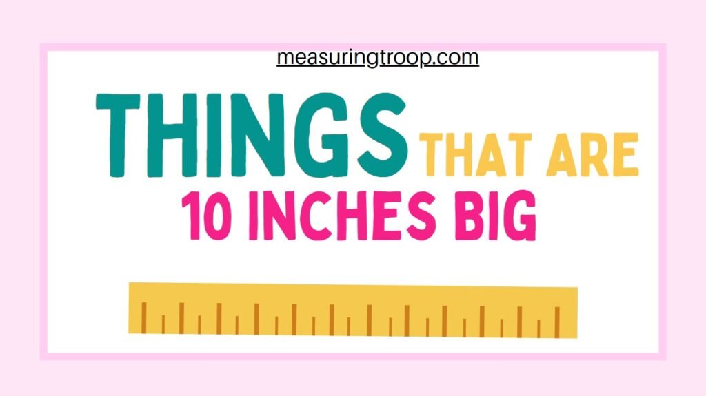 9 Common Things That Are 10 Inches Big - Measuring Troop