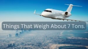 13 Common Things That Weigh 10 Pounds - Measuring Troop