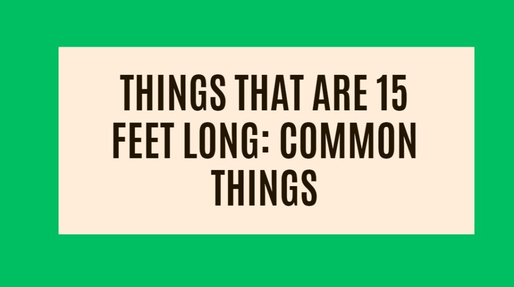 11 Common Things That Are 5 Inches Long - Measuring Troop