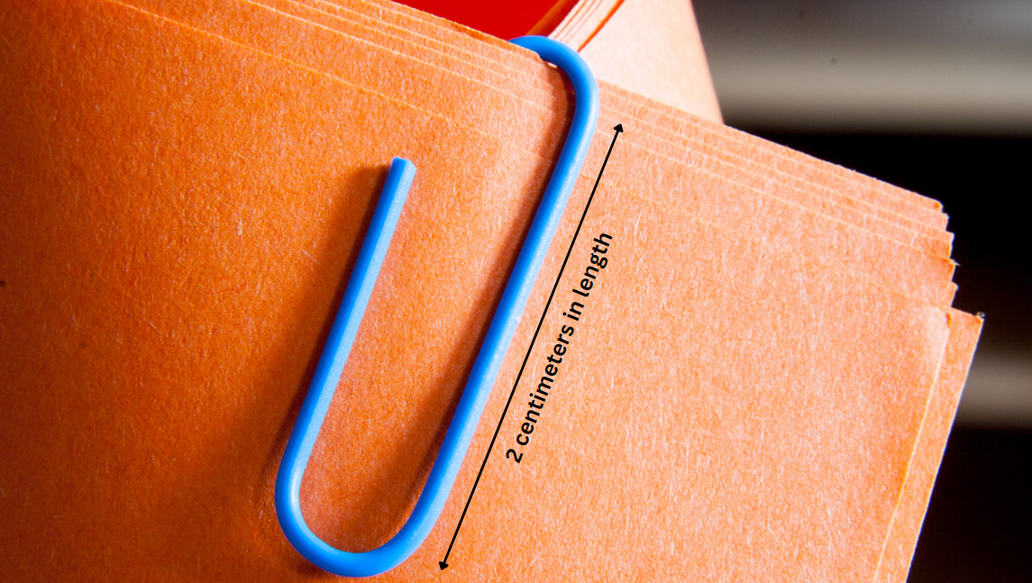 Everyday Things That Are 2 Centimeters Long: Exploring the World ...